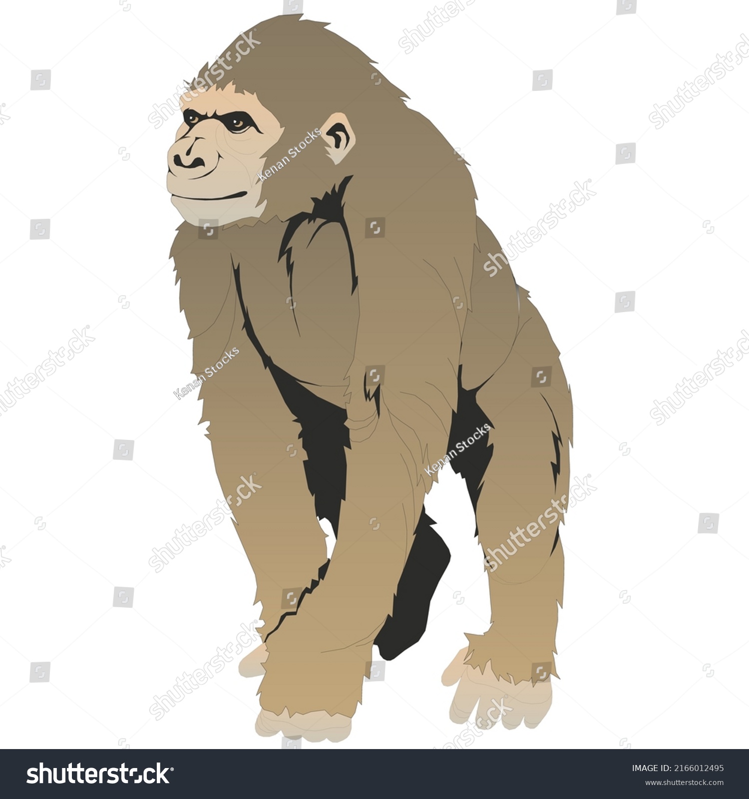 Standing Wild Gorilla Vector Illustration Dev Stock Vector (Royalty ...