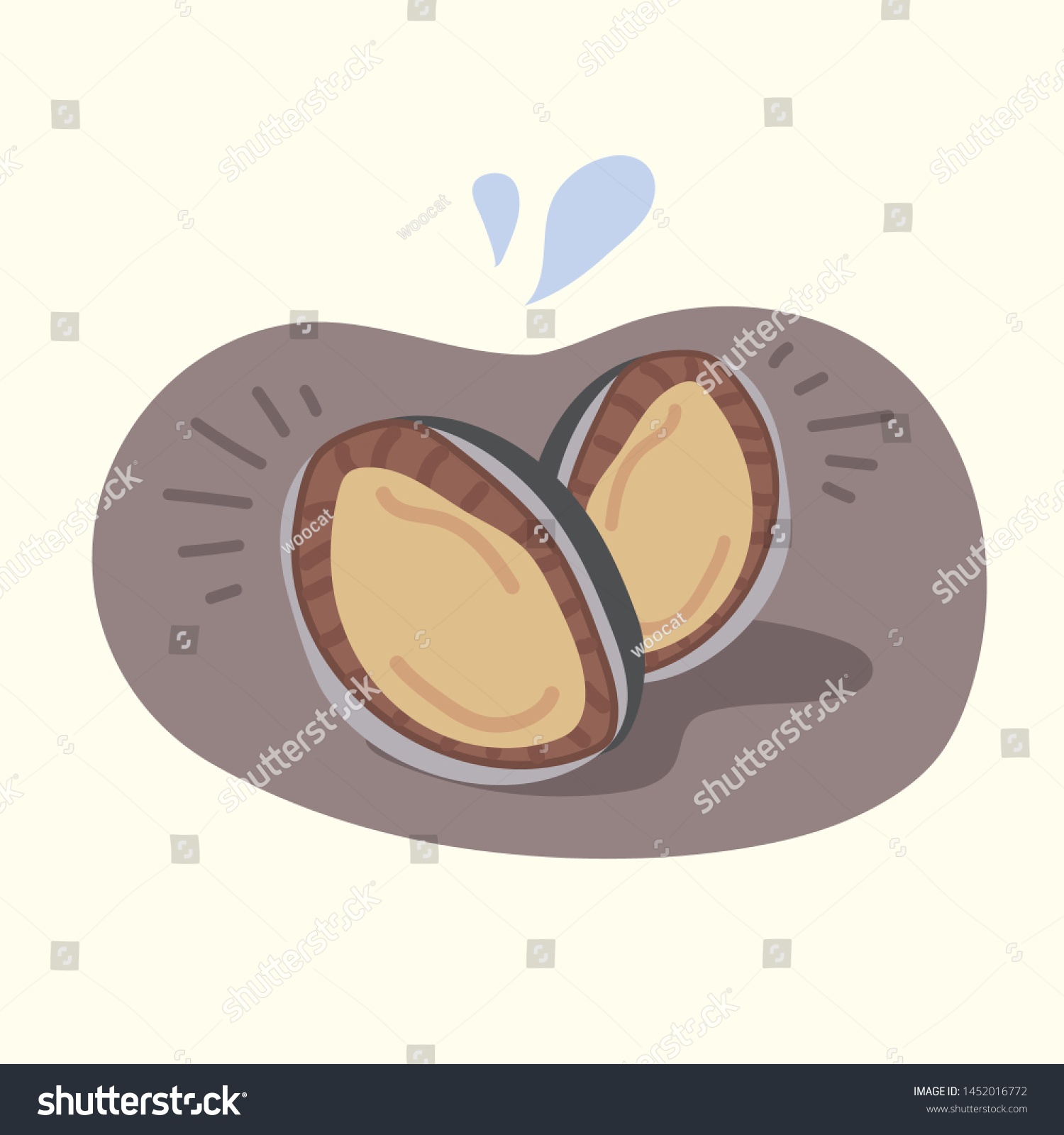 Abalone Hand Drawn Illustration Vector Eps10 Stock Vector (Royalty Free ...