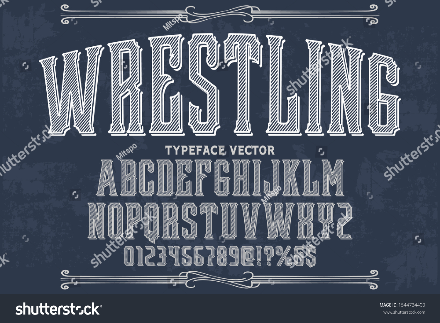 Abc Font Alphabet Script Typeface Handcrafted Stock Vector (Royalty ...