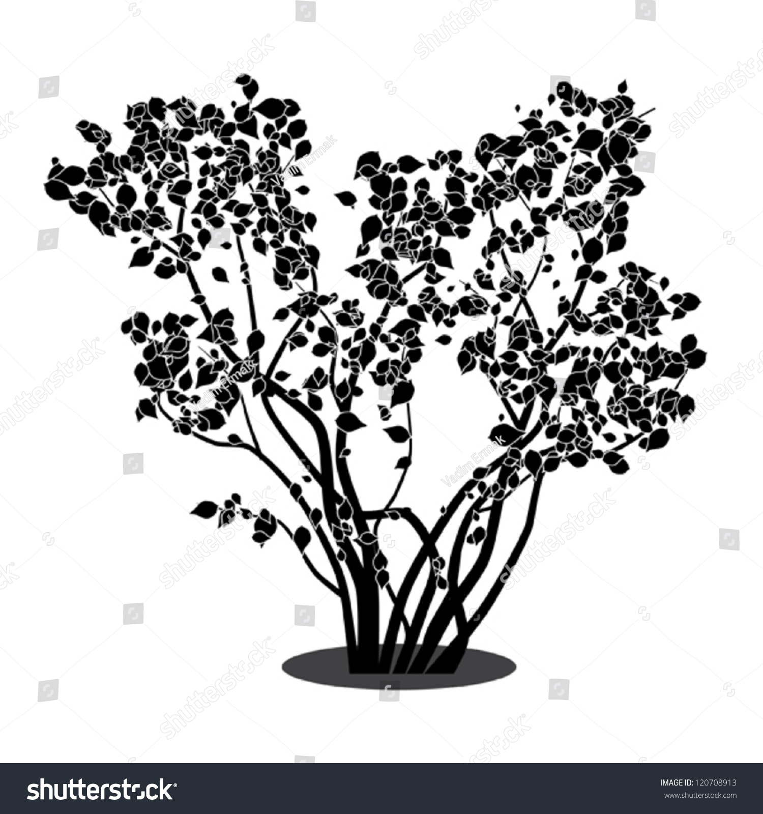 Abstract Bush Vector Silhouette - 120708913 : Shutterstock