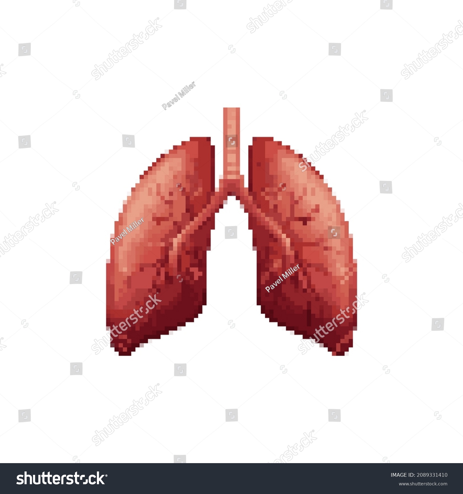 Abstract Human Lung Pixels Vector Illustration Stock Vector (Royalty ...