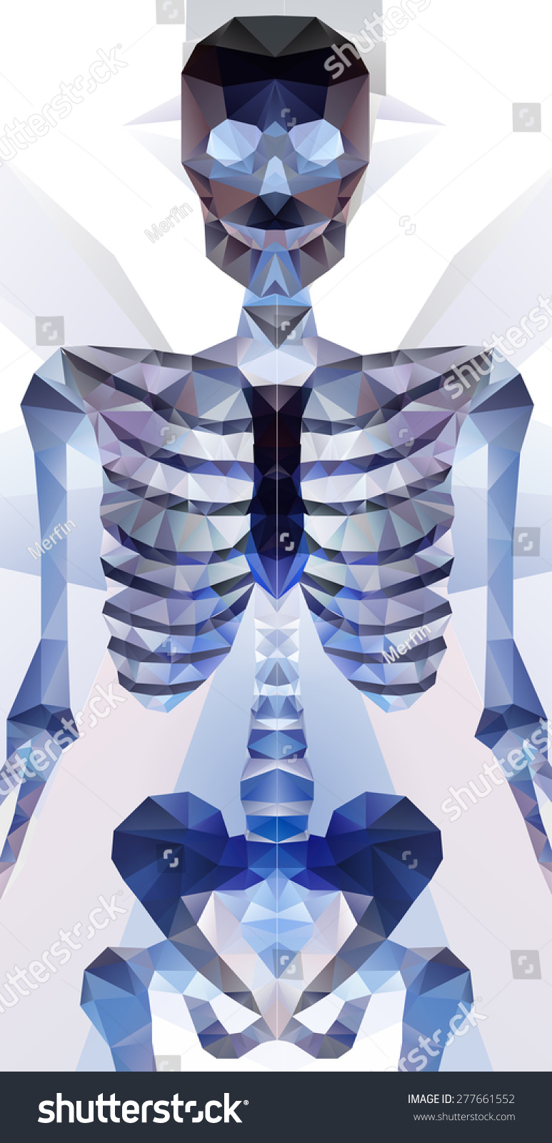 Abstract Polygonal Skeleton Low Poly Illustration Stock Vector (Royalty ...