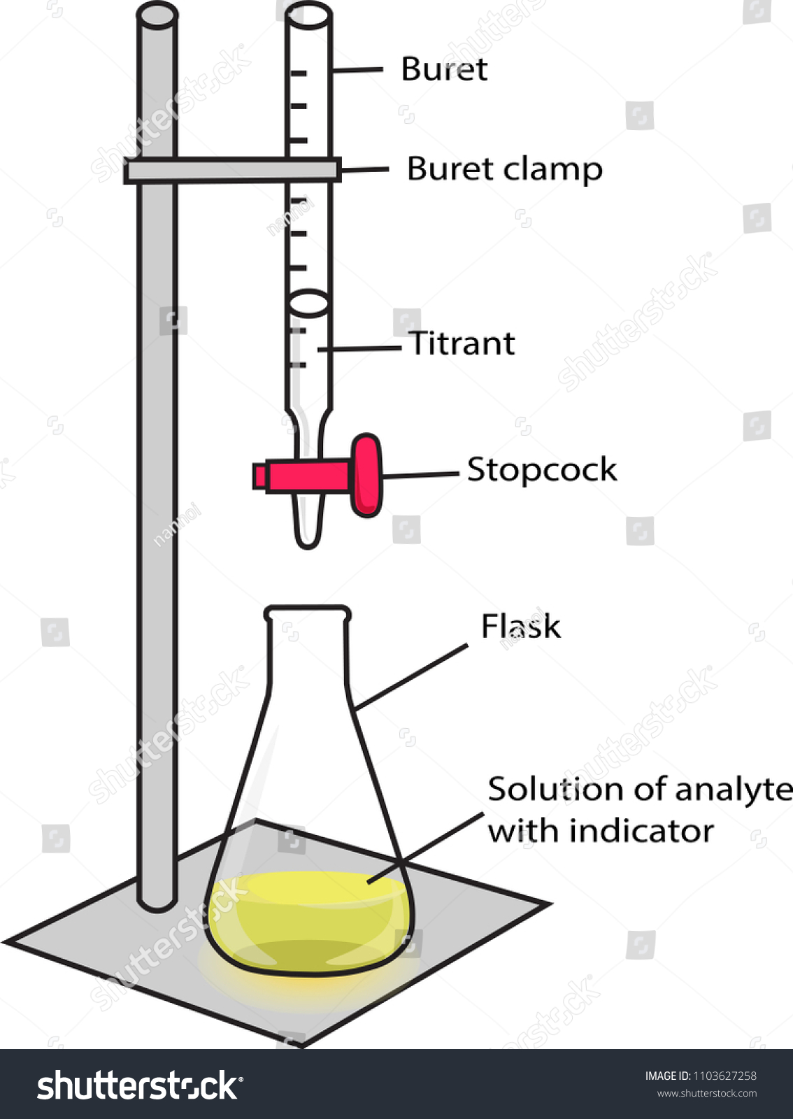Acidbase Titration Bromothymol Blue Indicator: เวกเตอร์สต็อก (ปลอดค่า ...