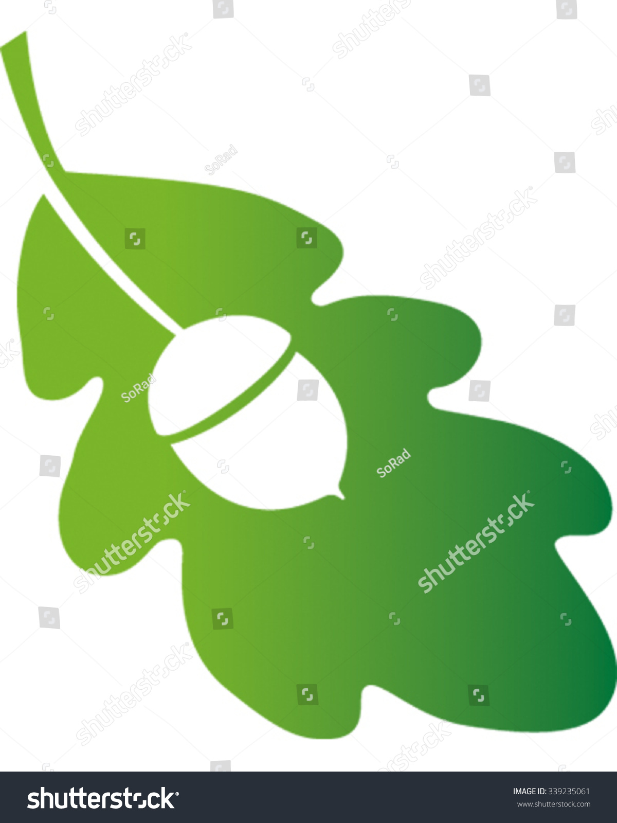 Acorn Stock Vector (Royalty Free) 339235061