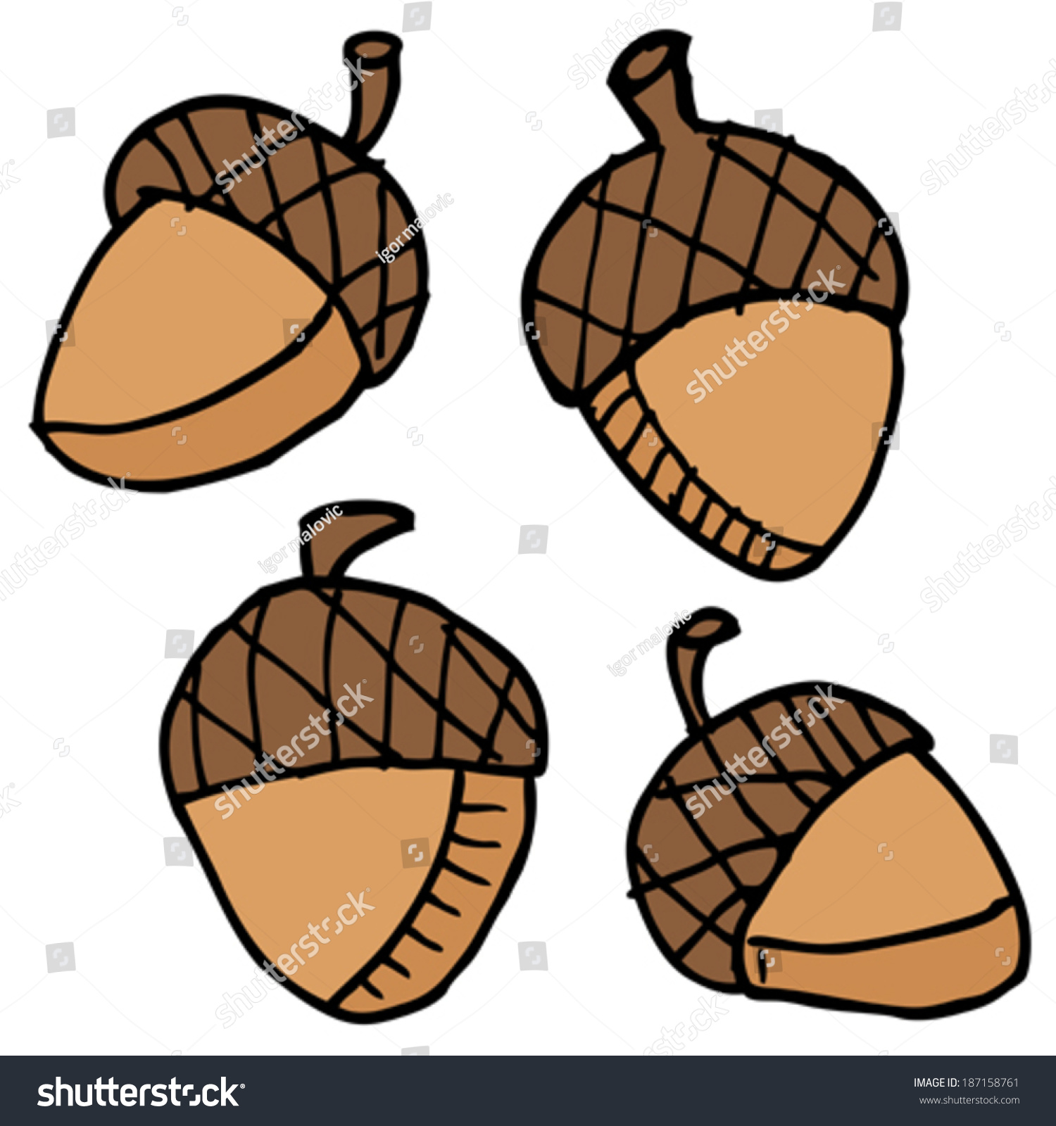 Acorns Cartoon Stock Vector (Royalty Free) 187158761