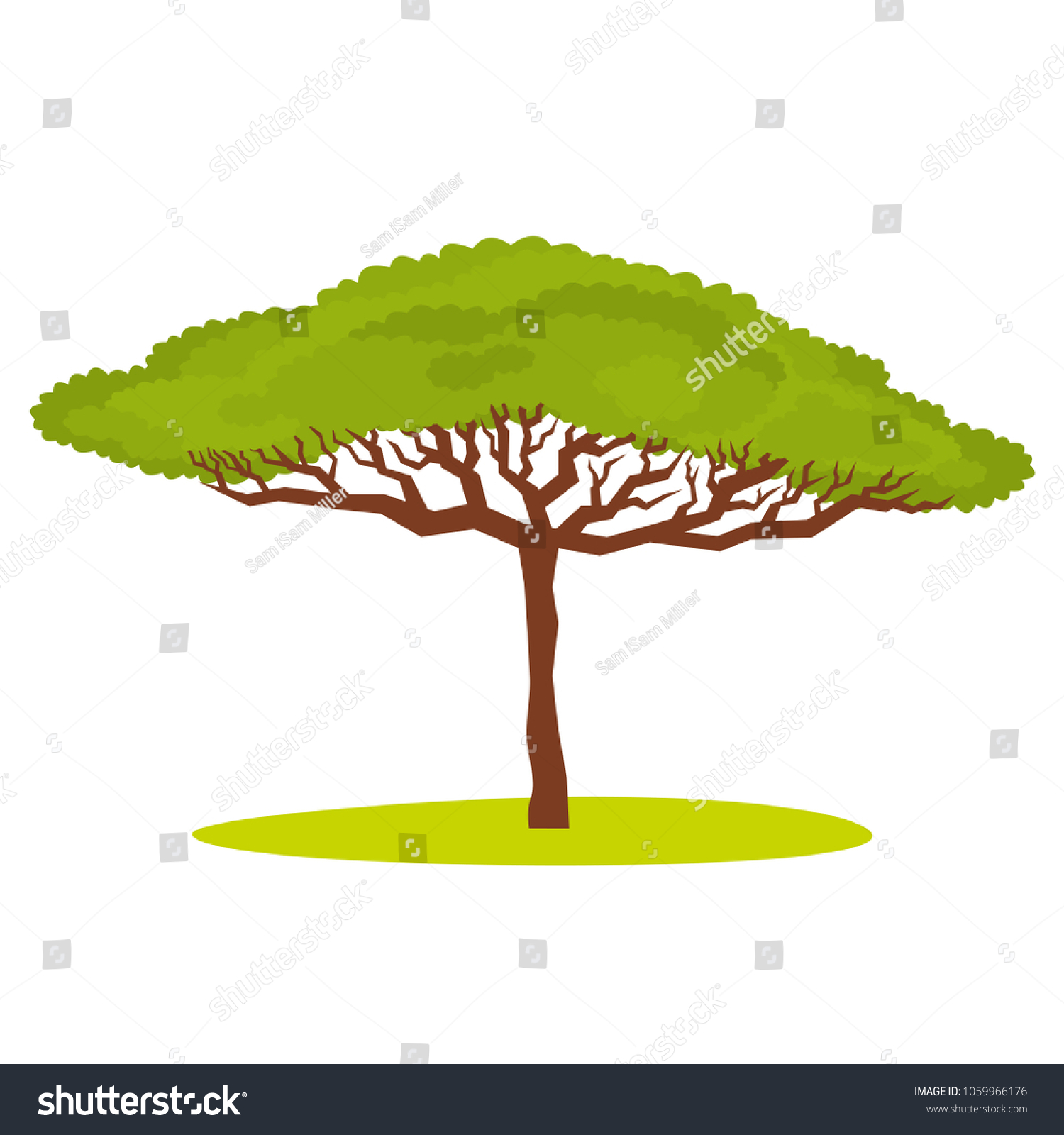 African Acacia Tree Vector Stock Vector (Royalty Free) 1059966176 ...