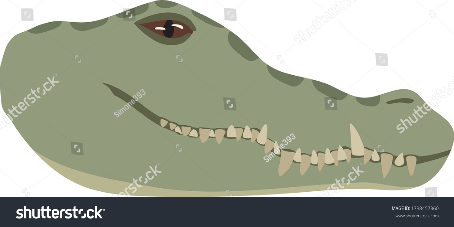 African Crocodile Vector Cartoon Drawing Stock Vector (Royalty Free ...