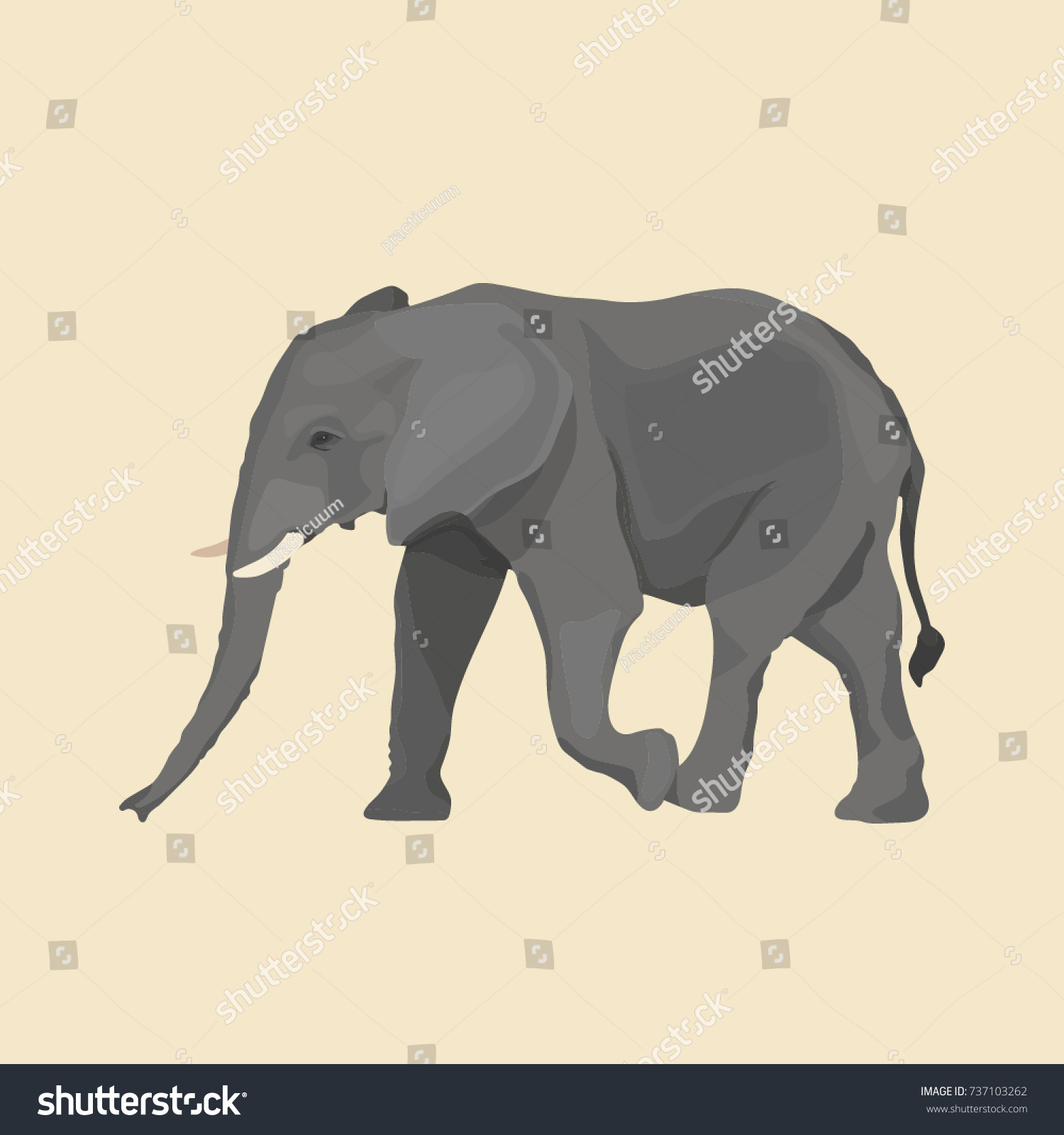 African Elephant Vector Illustration Isolated Stock Vector (Royalty ...