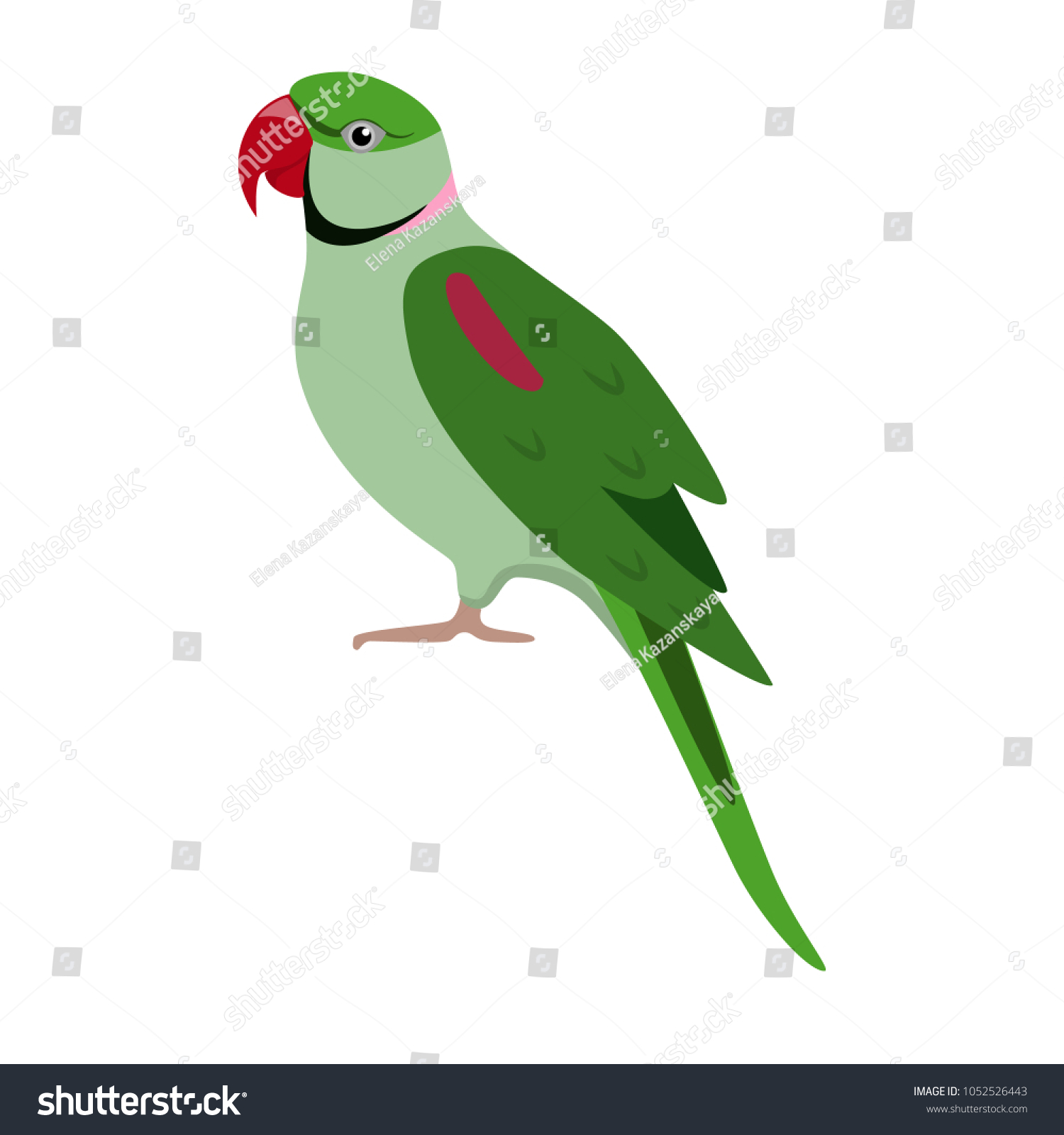 Alexandrine Ringneck Parrot Icon Flat Style Stock Vector (Royalty Free ... Alexandrine Ringneck Parrot Icon Flat Style Stock Vector (Royalty Free ...