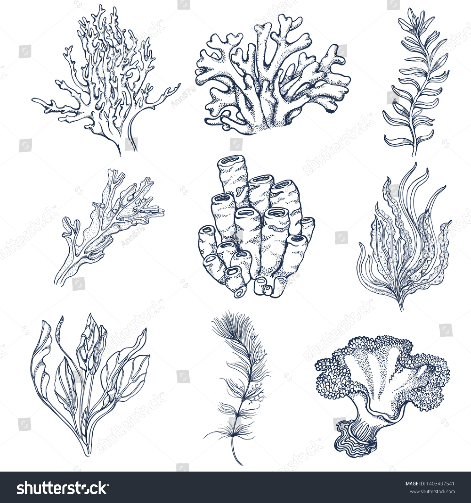 Ocean leaves 342,245 รายการ ภาพ ภาพสต็อกและเวกเตอร์ | Shutterstock