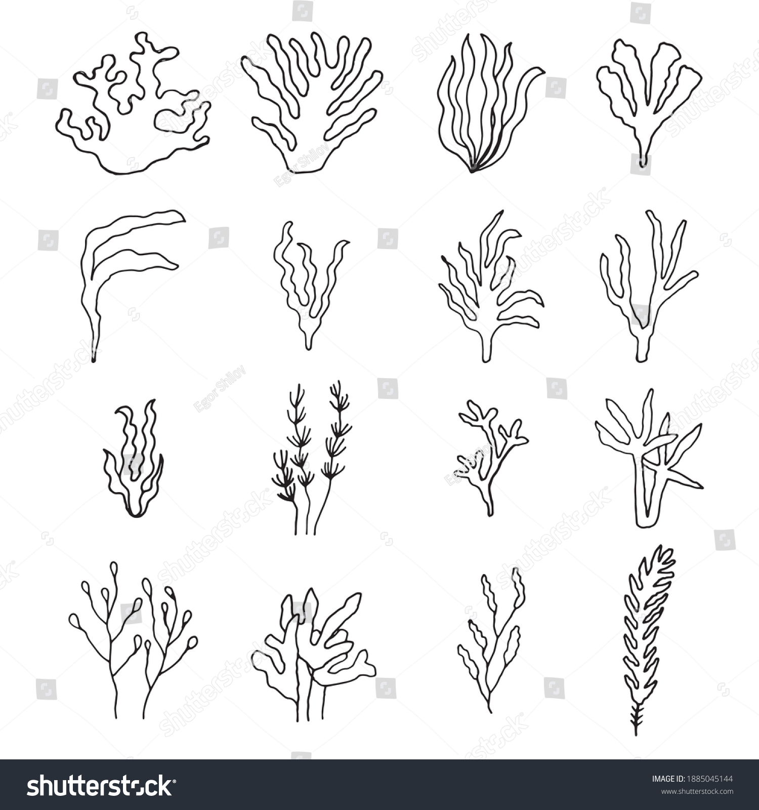 Algae Green Linear Drawing Vector Icons Stock Vector (Royalty Free ...