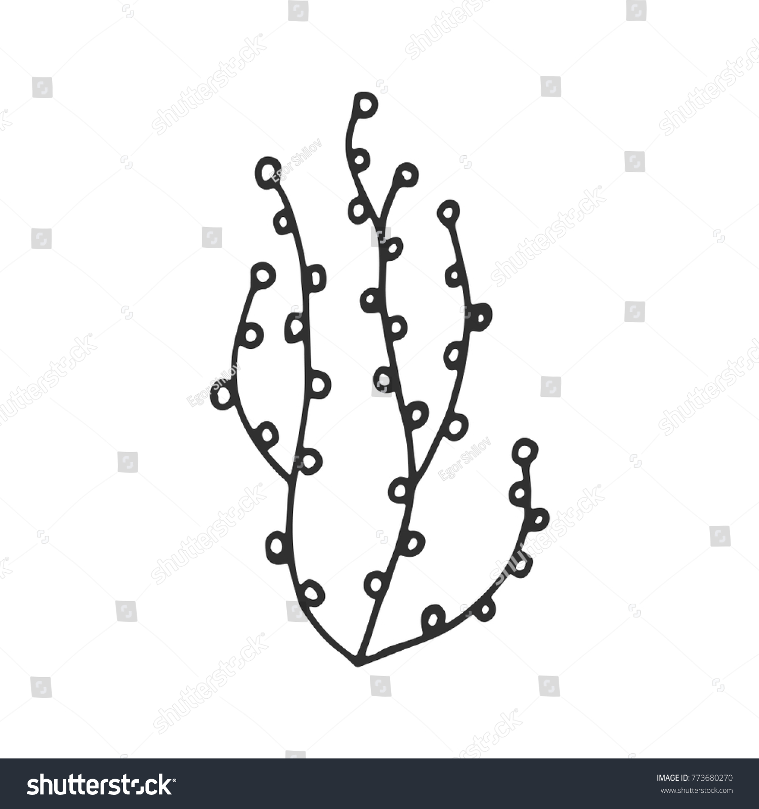 Algae Hand Drawing Vector Sketch: vector de stock (libre de regalías ...