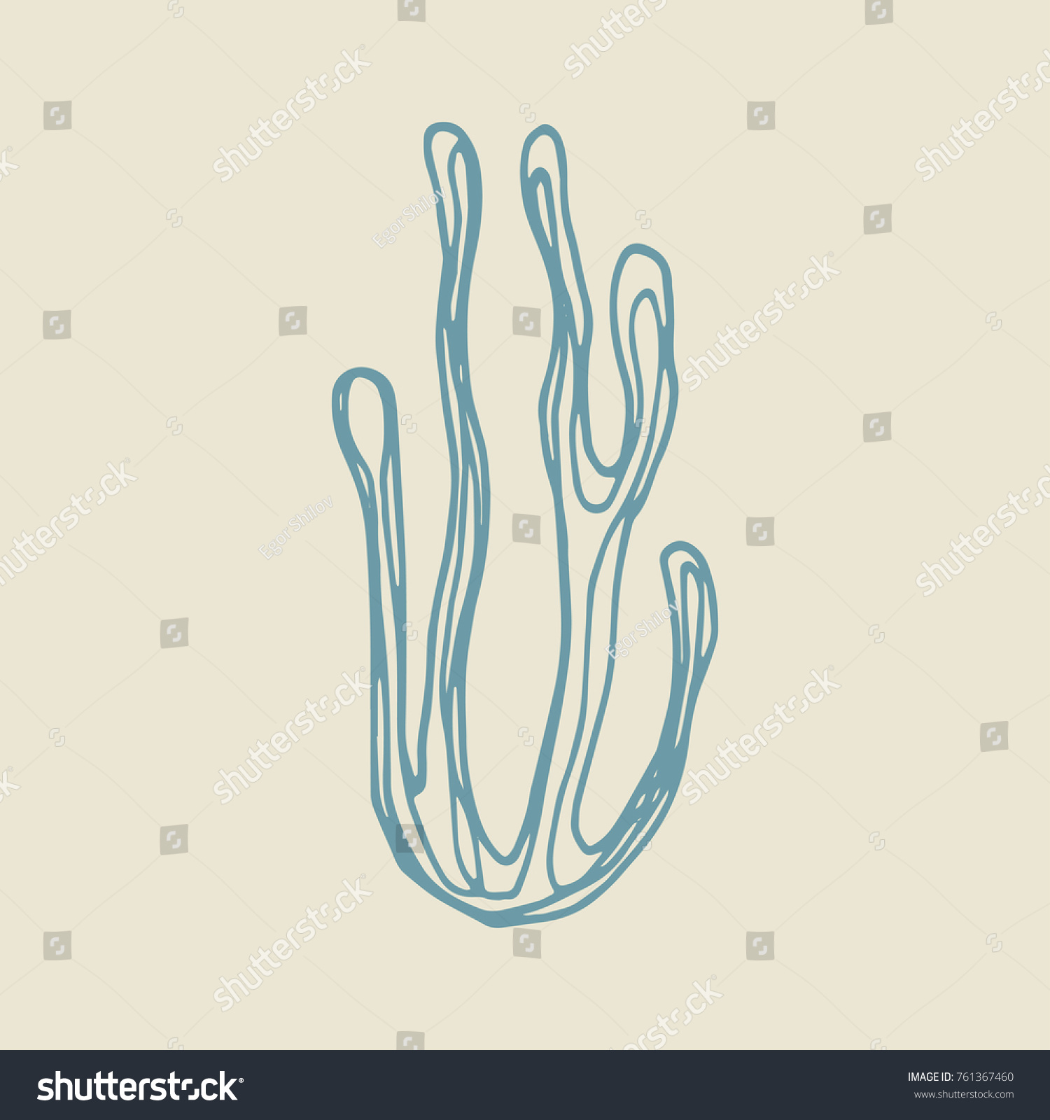 Algae Hand Drawing Vector Sketch Isolated: เวกเตอร์สต็อก (ปลอดค่า ...