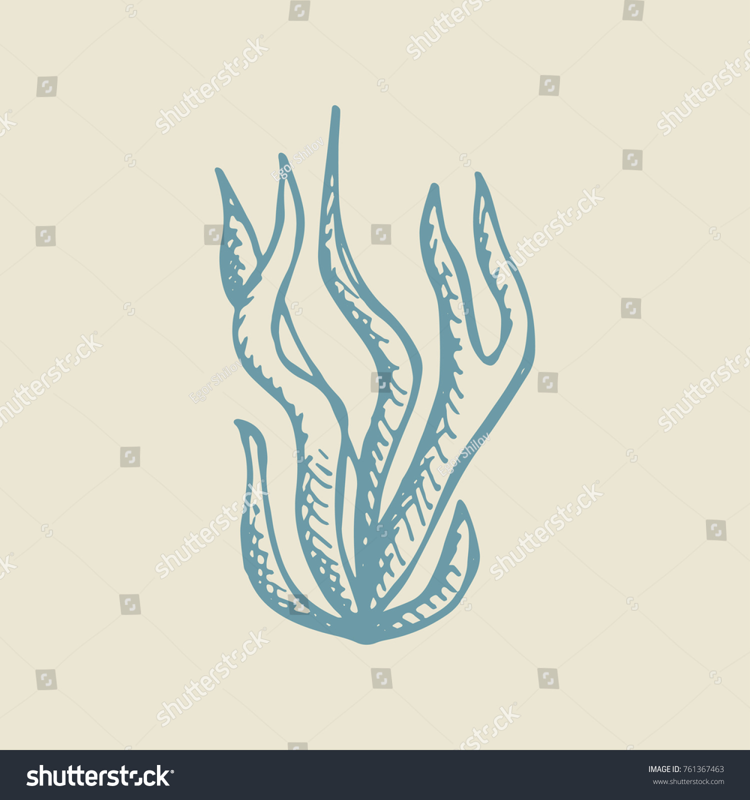 Algae Hand Drawing Vector Sketch Isolated: vector de stock (libre de ...
