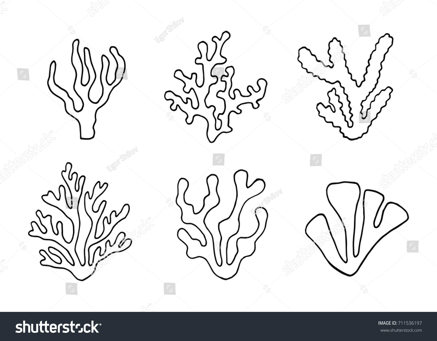 Algae Outlined Set Vector Isolated Hand Stock Vector (Royalty Free ...