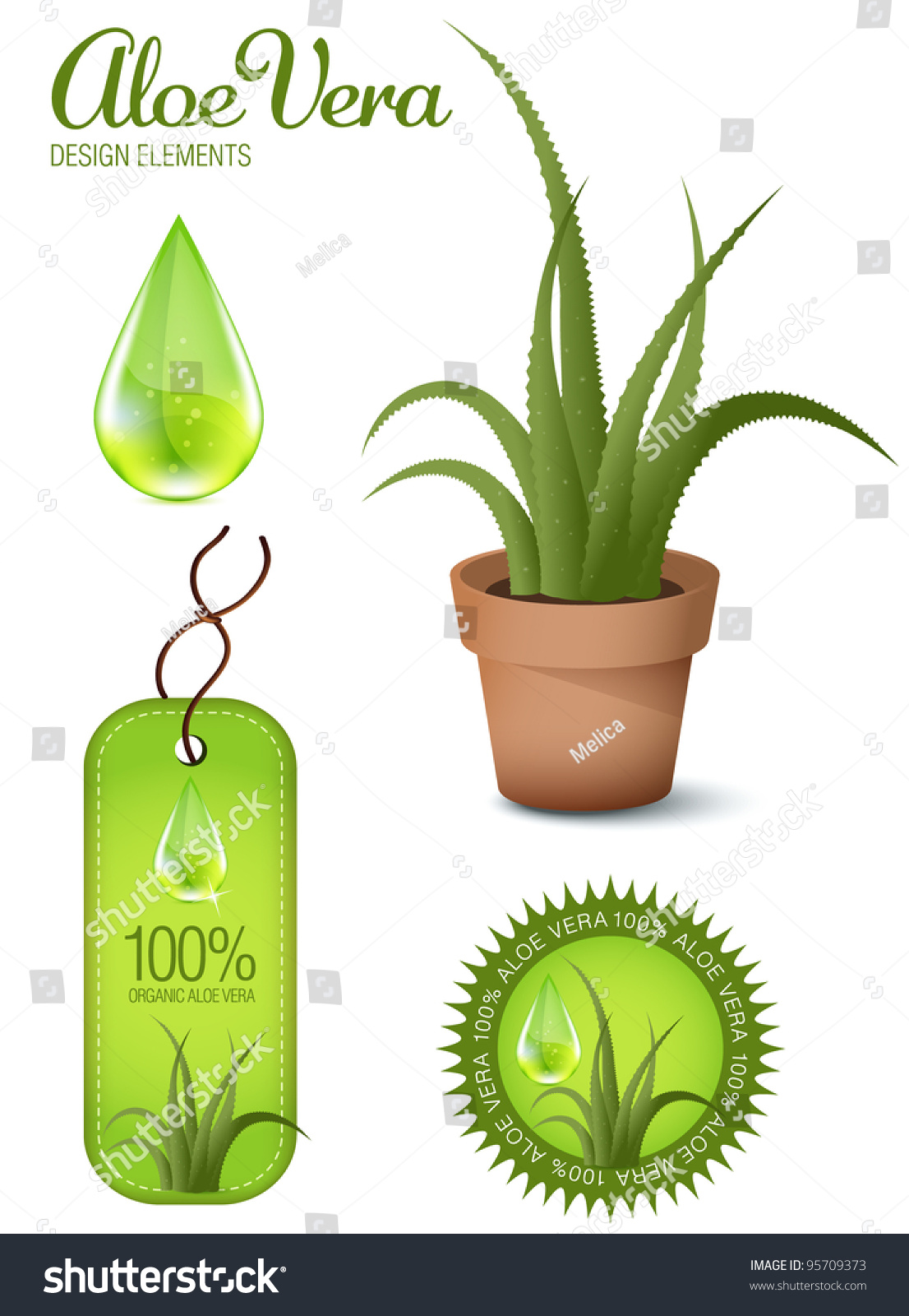 Aloe Vera Design Elements Illustration Stock Vector (Royalty Free) 95709373