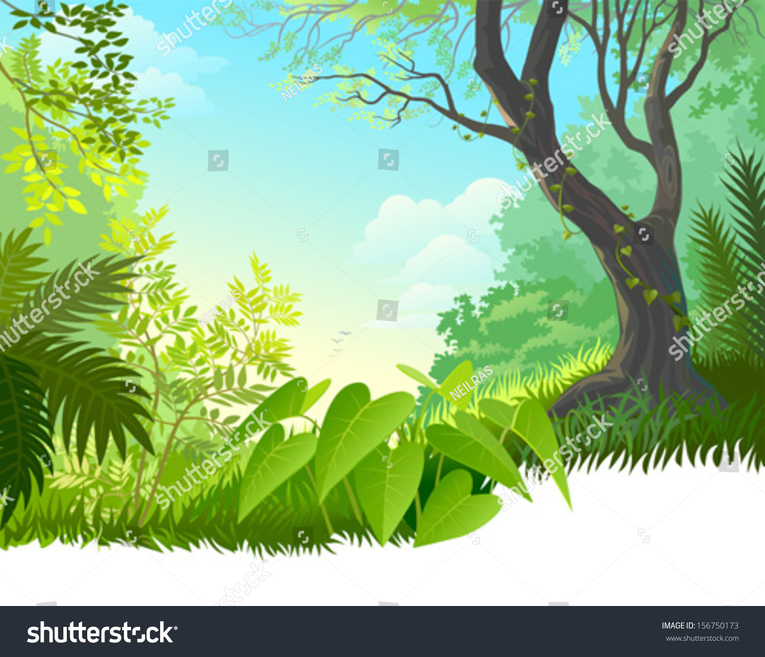 Amazon Rain Forest Stock Vector 156750173 - Shutterstock