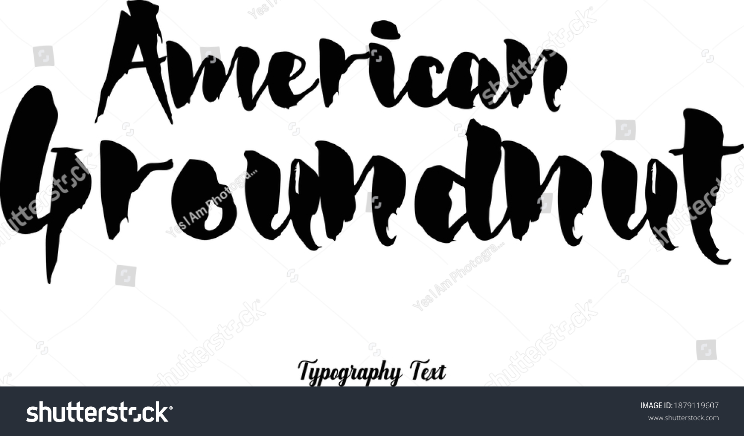 American Groundnut Bold Typeface Calligraphy Text Stock Vector (Royalty ...