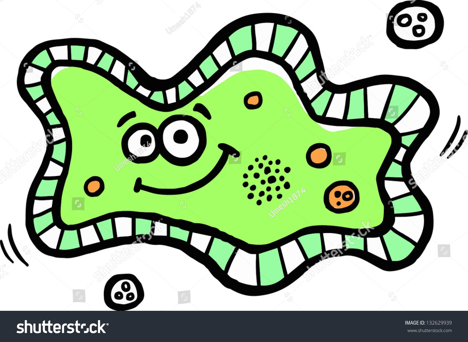 Amoeba Vector Illustration 스톡 벡터(사용료 없음) 132629939 - Shutterstock