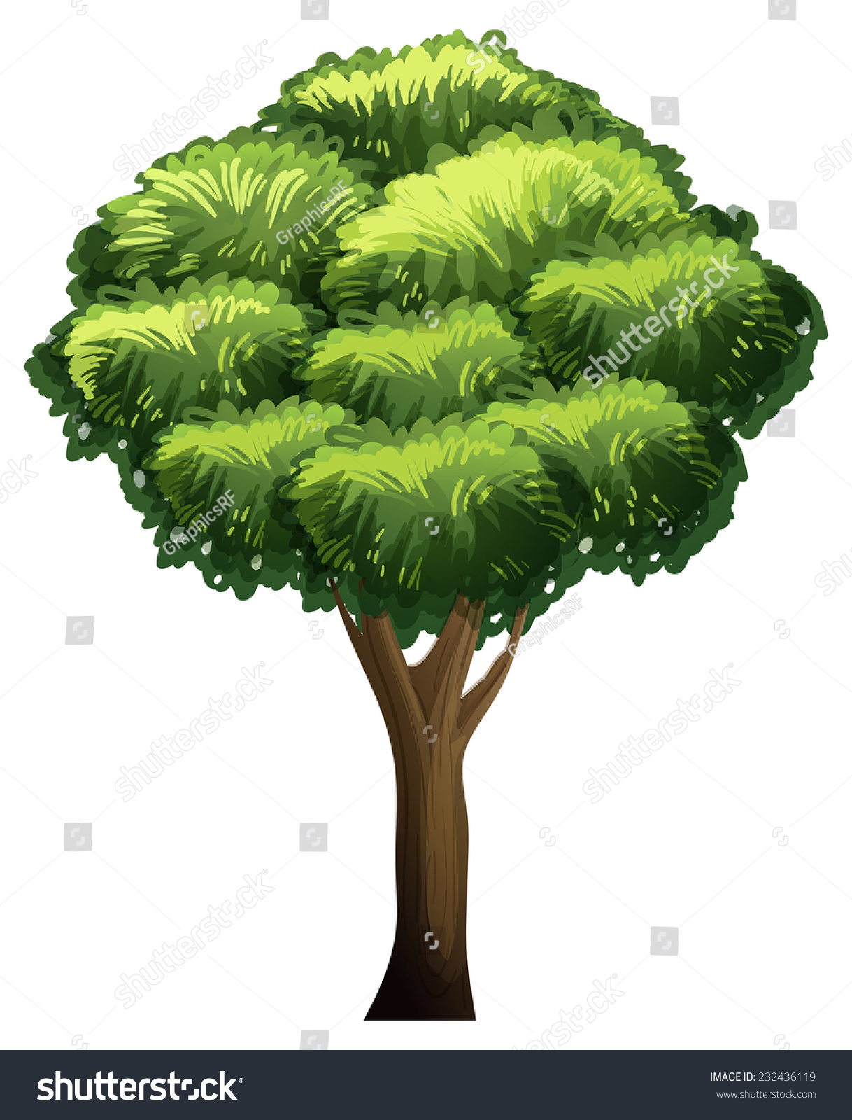 Animated Tree Flashcard Teaching Stock Vector (Royalty Free) 232436119
