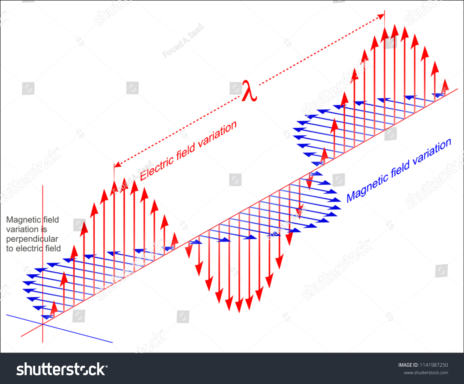 Electromagnetic Wave Consisting Electric Magnetic Oscillating เวกเตอร์