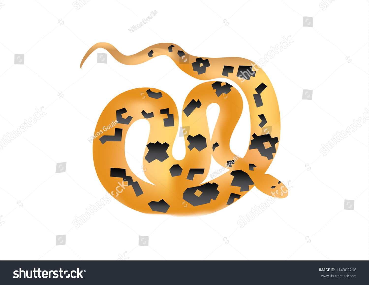 Anaconda Stock Vector (Royalty Free) 114302266 | Shutterstock