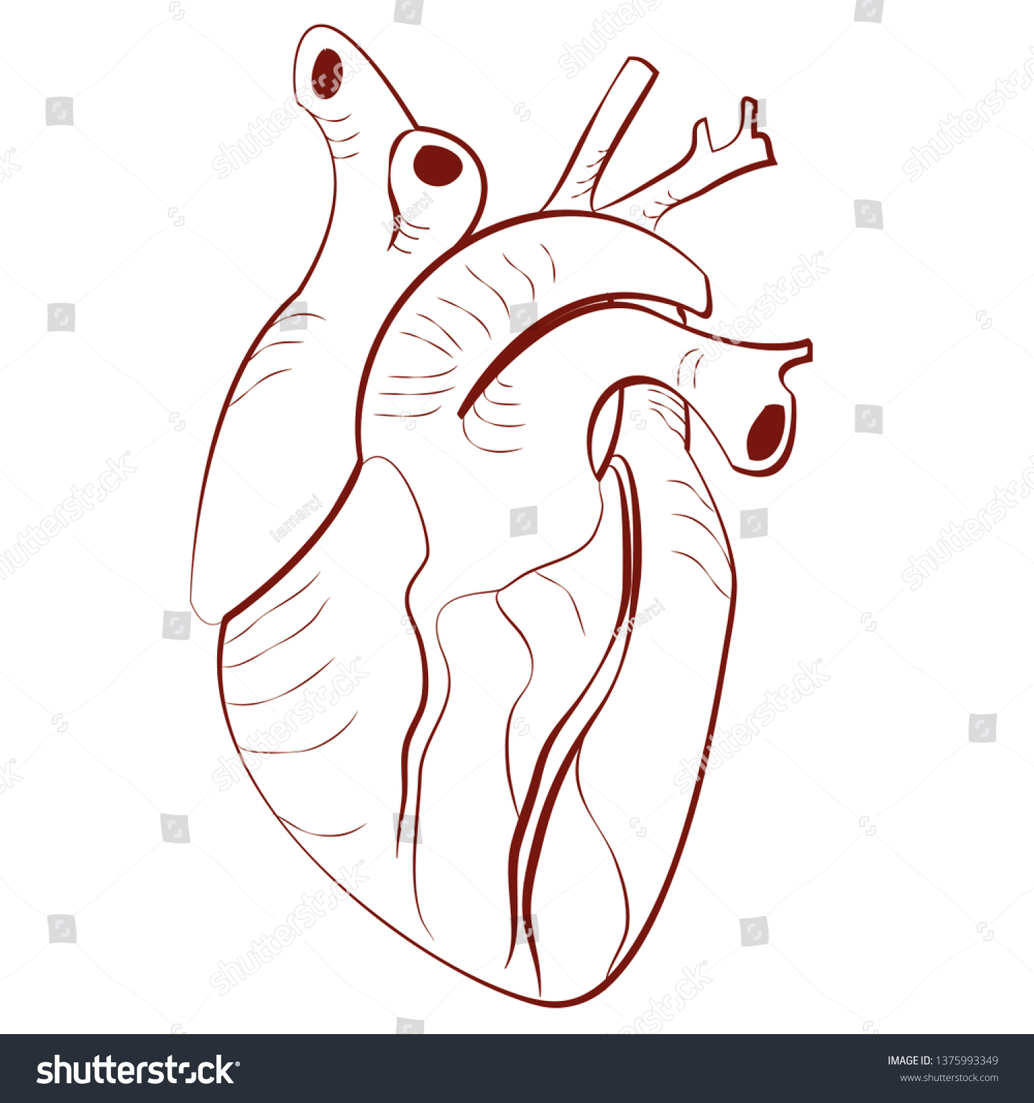 Anatomic Weird Heart: เวกเตอร์สต็อก (ปลอดค่าลิขสิทธิ์) 1375993349 ...