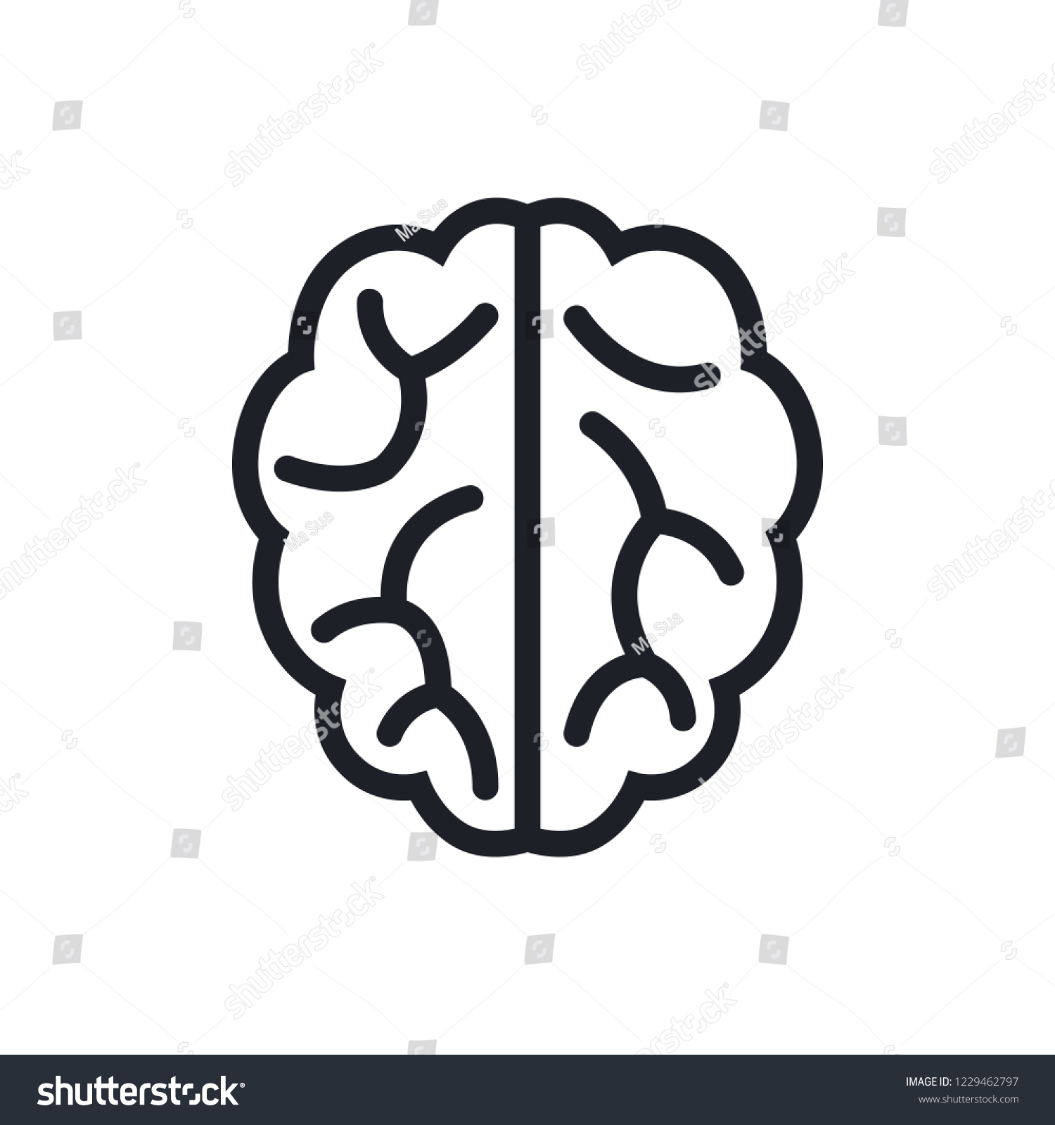 Anatomy Brain Icon Stock Vector (Royalty Free) 1229462797