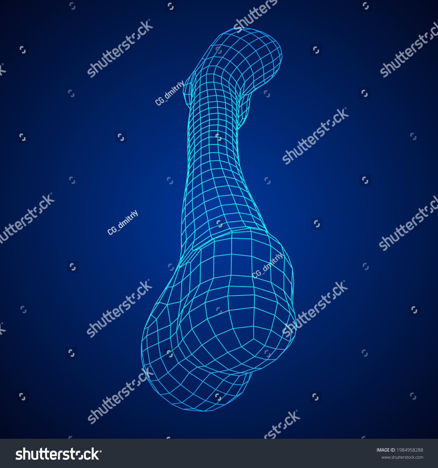 Anatomy Dog Bone Object Wireframe Low Stock Vector (Royalty Free ...