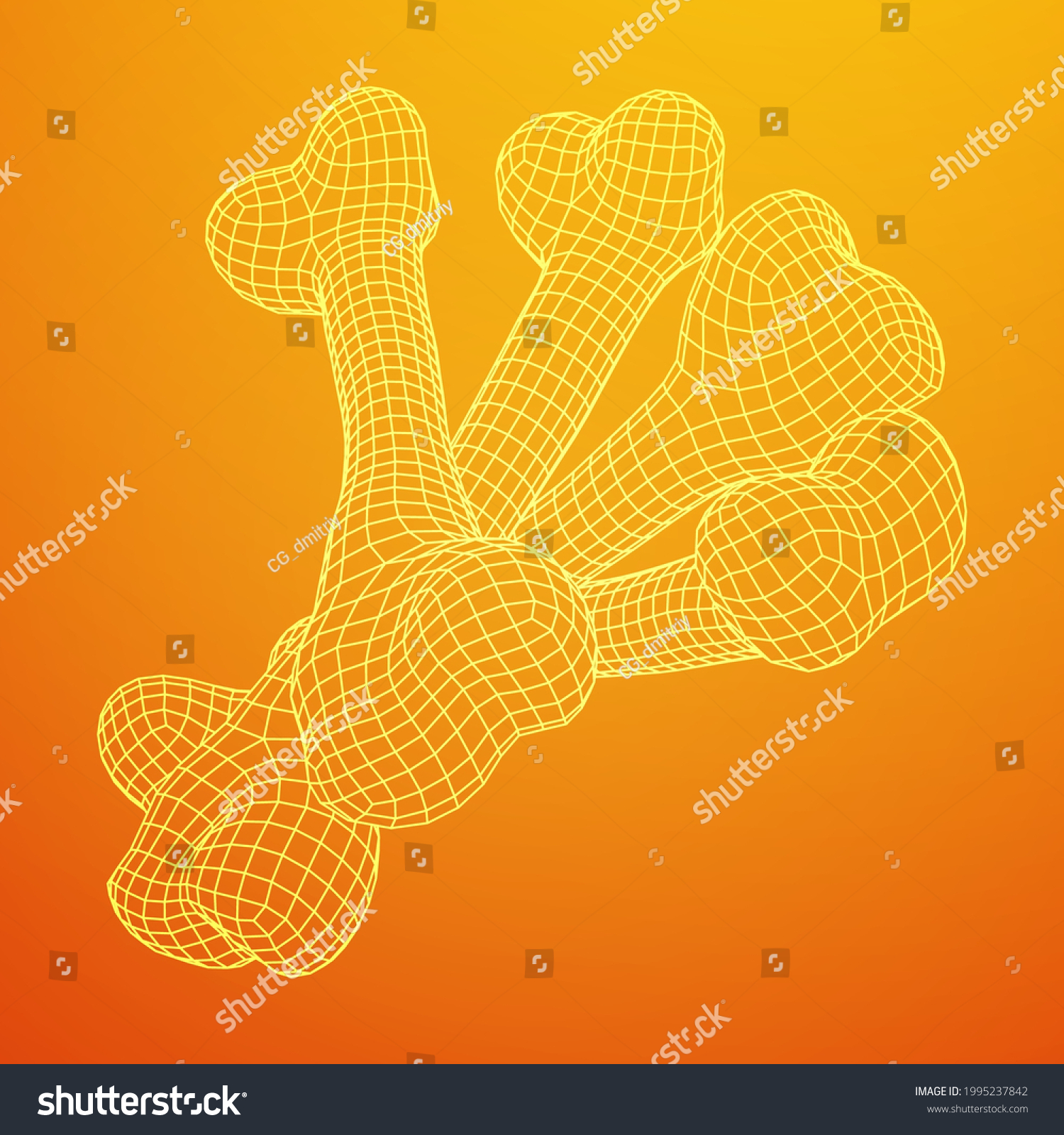 Anatomy Dog Bone Object Wireframe Low Stock Vector (Royalty Free ...
