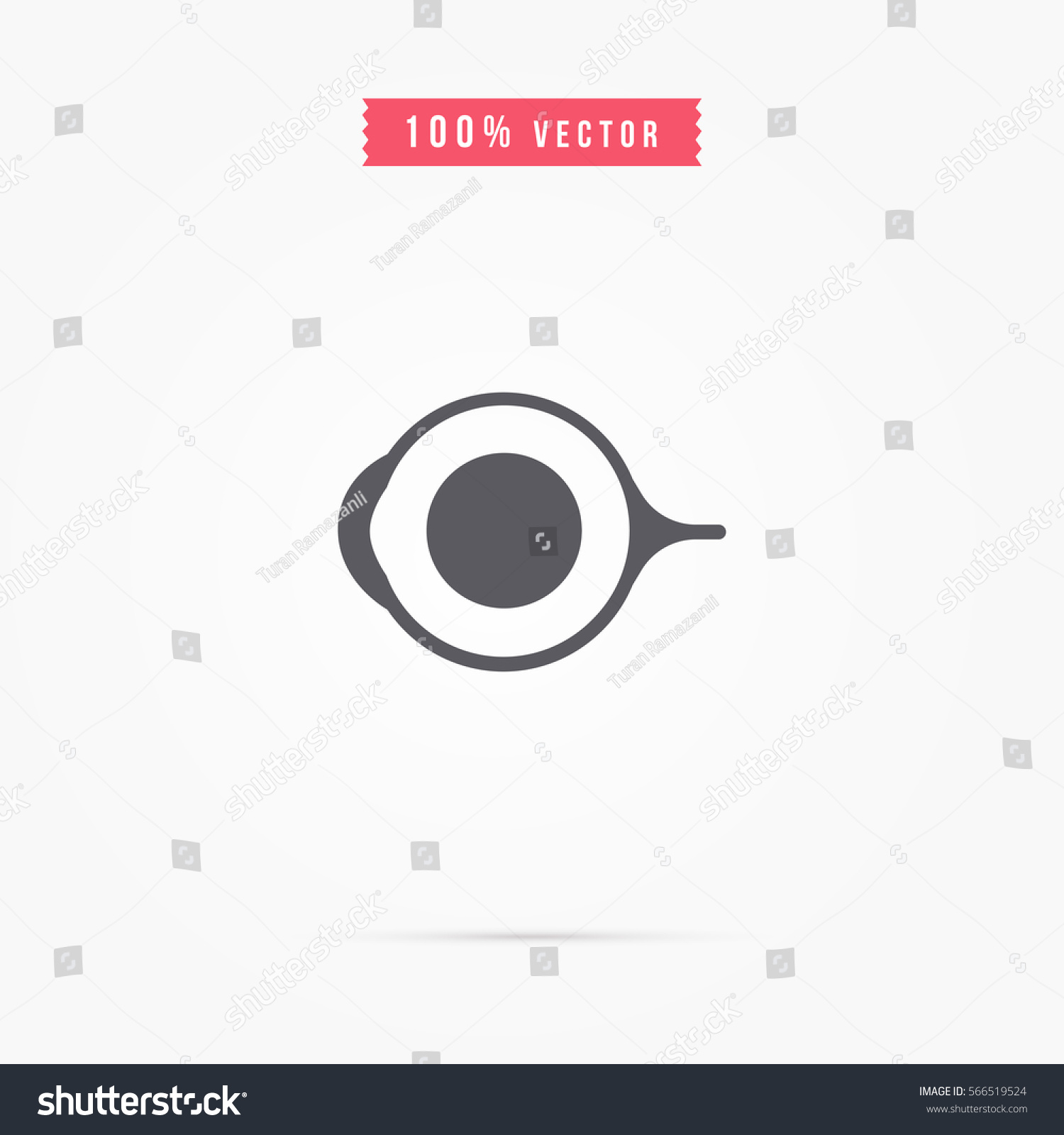 Anatomy Eye Icon Stock Vector (Royalty Free) 566519524 | Shutterstock