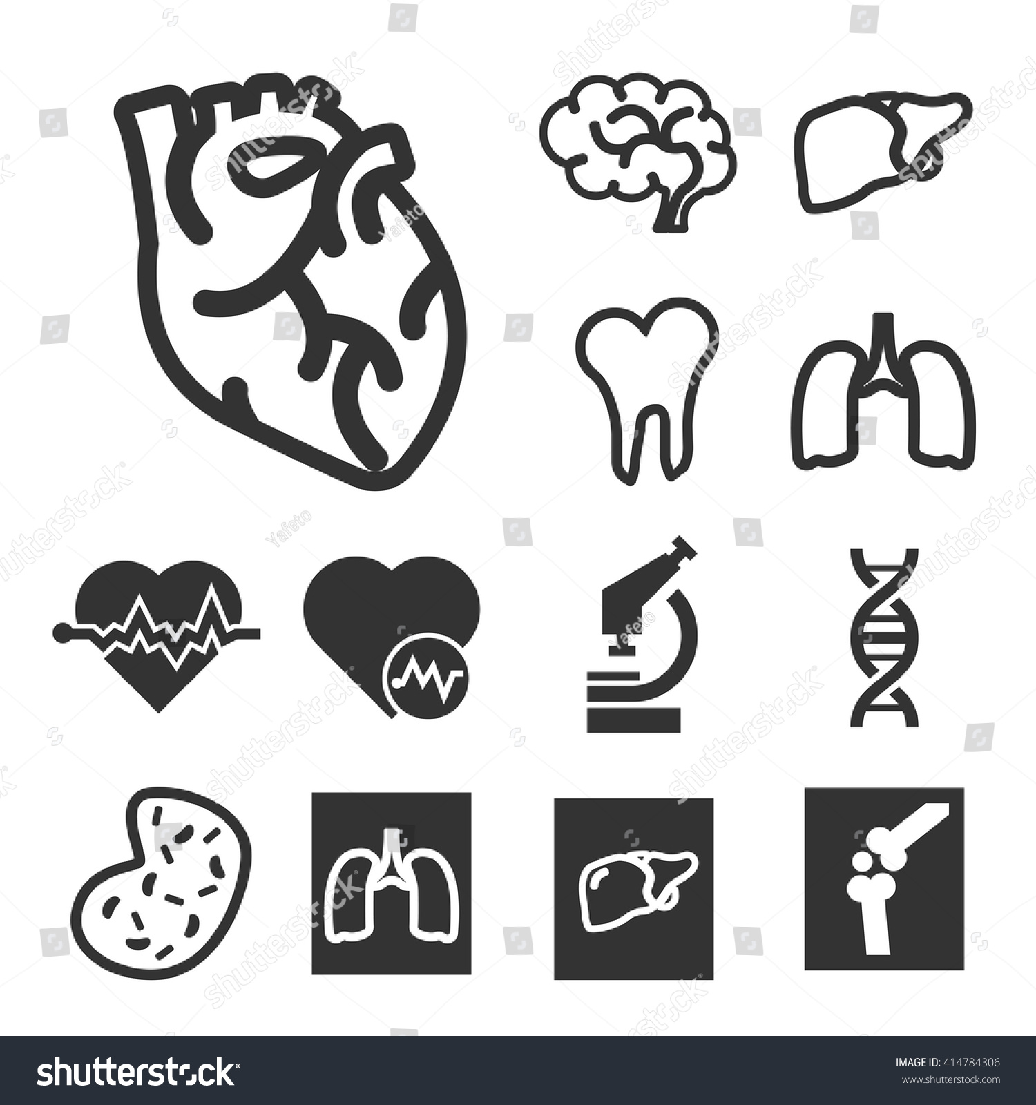 Anatomy Icon Set: เวกเตอร์สต็อก (ปลอดค่าลิขสิทธิ์) 414784306 | Shutterstock