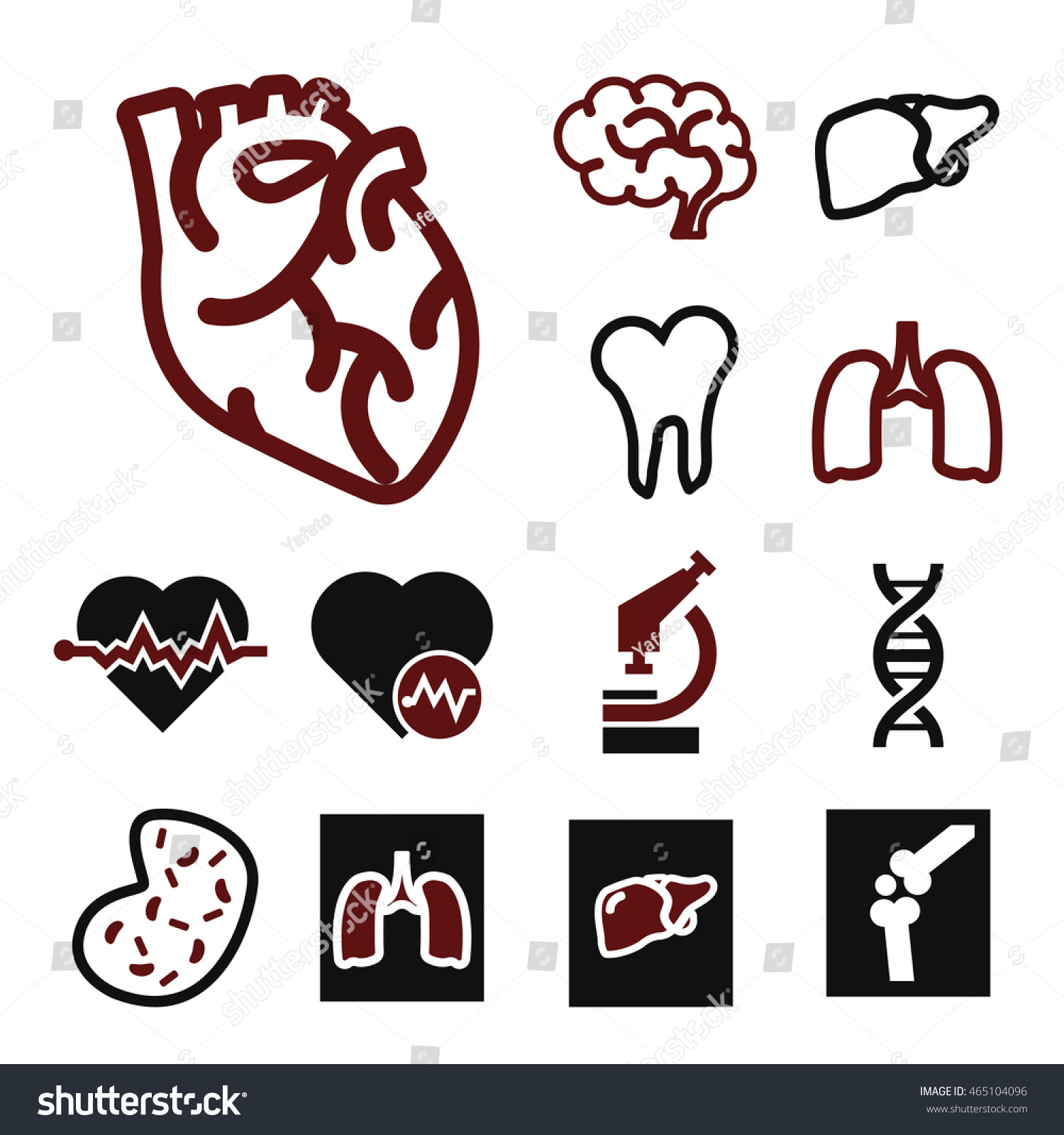 Anatomy Icon Set 库存矢量图（免版税）465104096 | Shutterstock