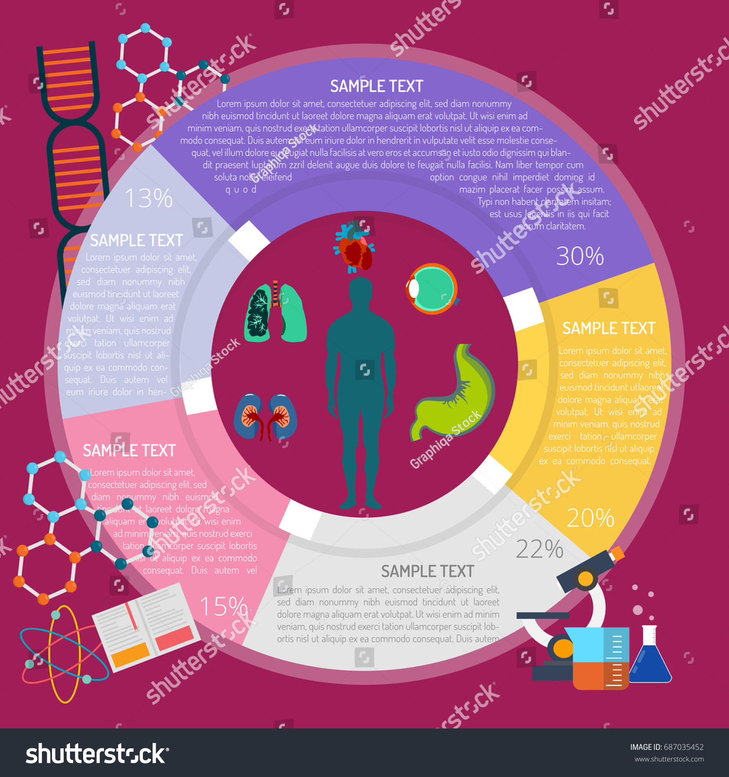 Anatomy Infographic: เวกเตอร์สต็อก (ปลอดค่าลิขสิทธิ์) 687035452 ...