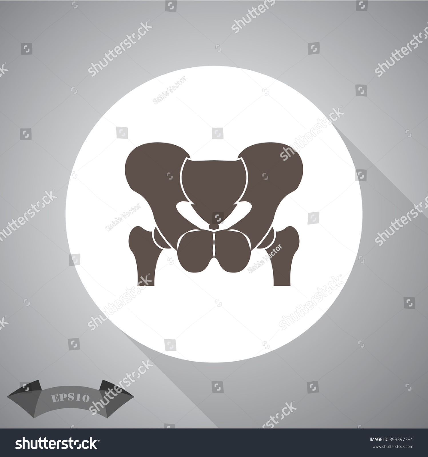 Anatomy Pelvis Icon Stock Vector (Royalty Free) 393397384