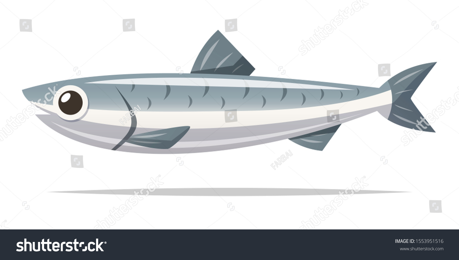 Anchovy Vector Isolated Illustration Design Stock Vector (Royalty Free ...