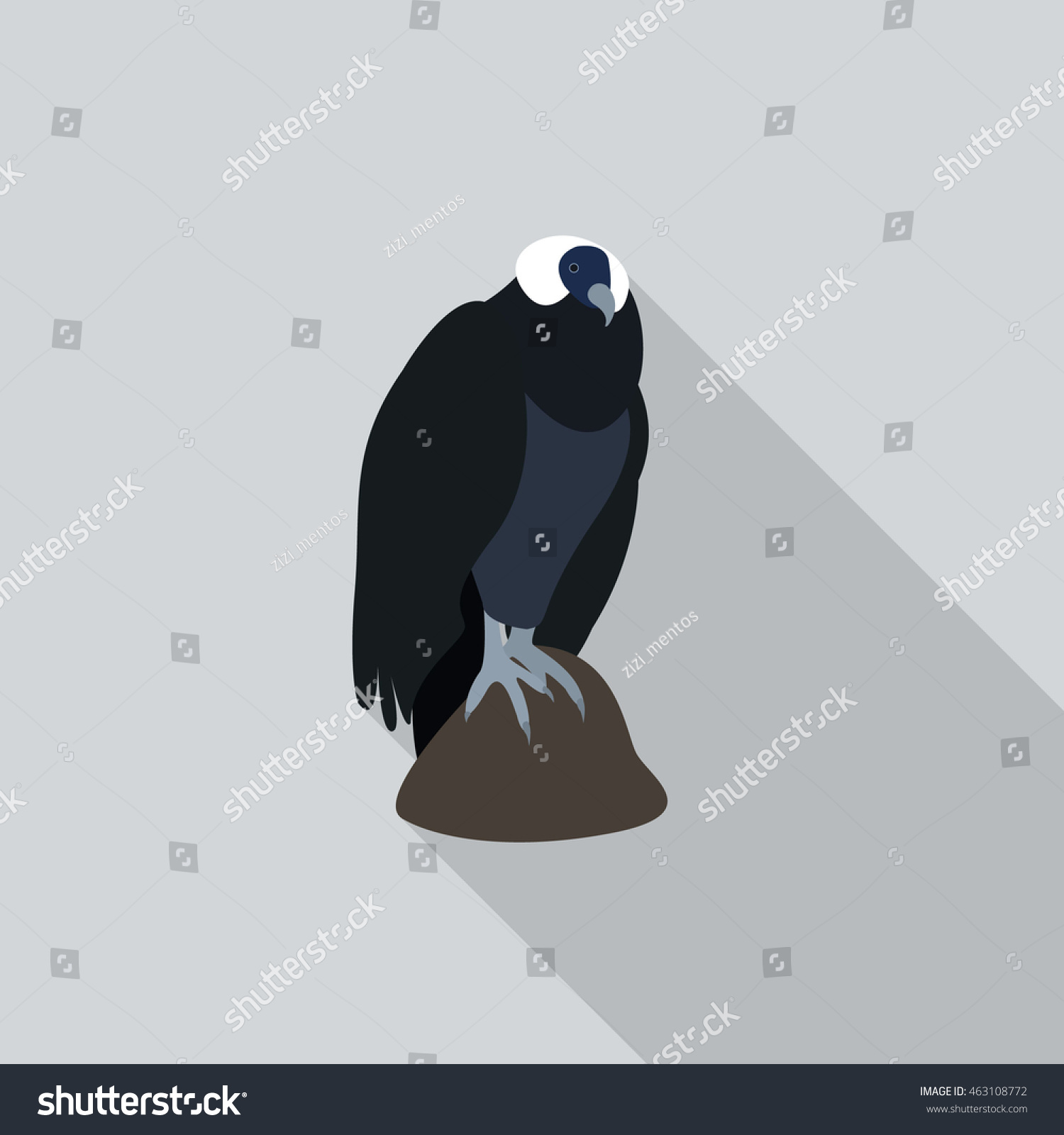 Andean Condor Vector Illustration Stock Vector (Royalty Free) 463108772 ...