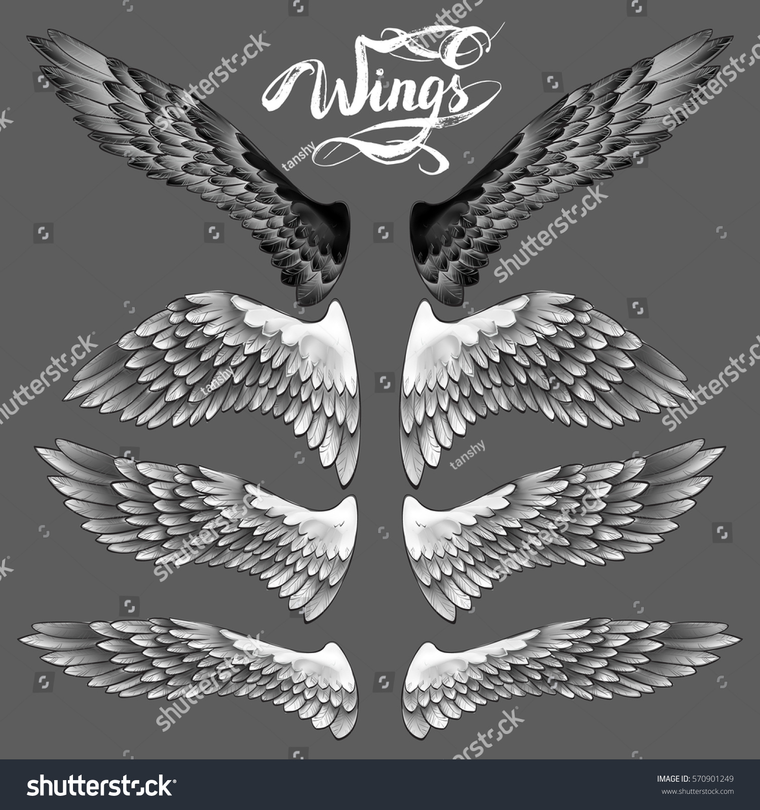 Angel Wings Lettering Drawing Vector : image vectorielle de stock ...