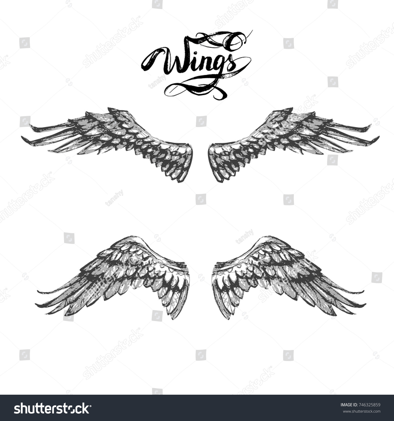 Angel Wings Lettering Drawing Vector Stock Vector (Royalty Free) 746325859