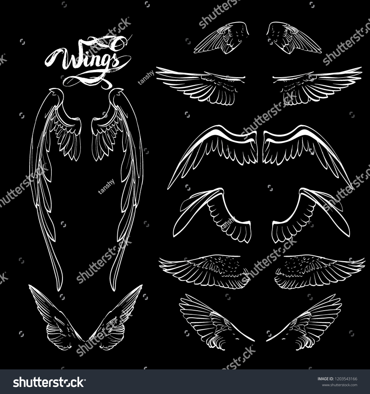 Angel Wings Lettering Vector Stock Vector (Royalty Free) 1203543166 ...