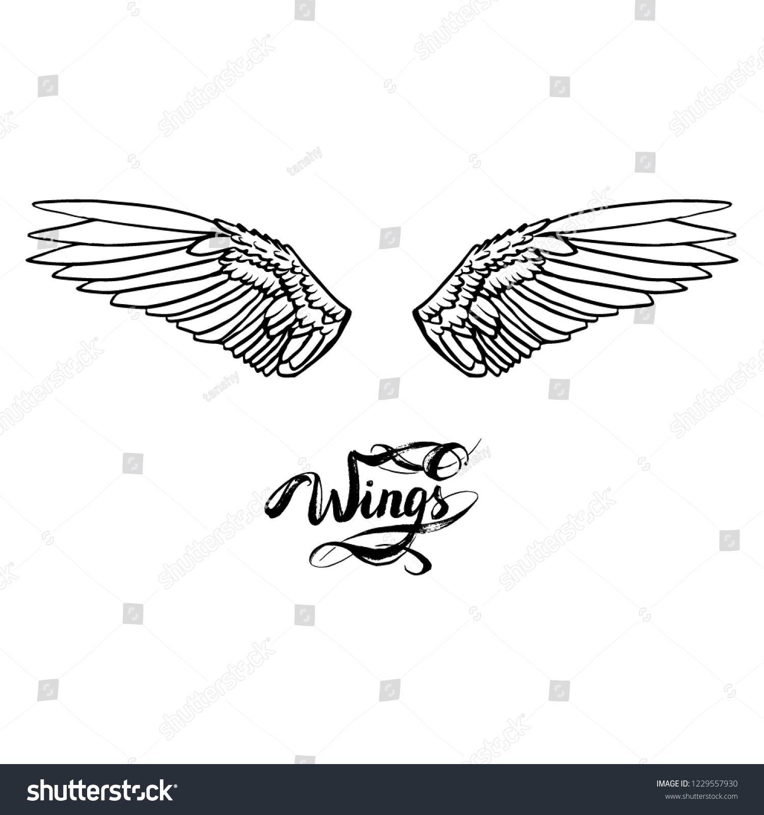 Angel Wings Lettering Vector Stock Vector (Royalty Free) 1229557930