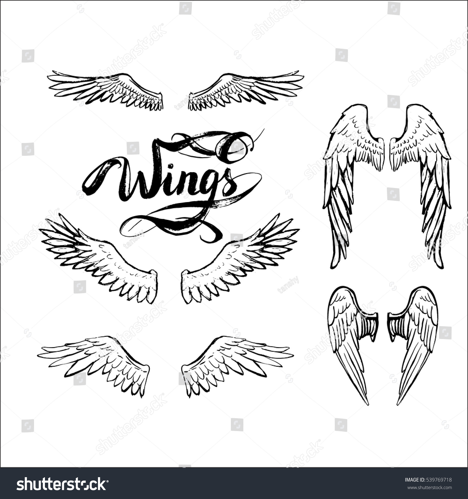 Angel Wings Vector Lettering Drawing: เวกเตอร์สต็อก (ปลอดค่าลิขสิทธิ์ ...