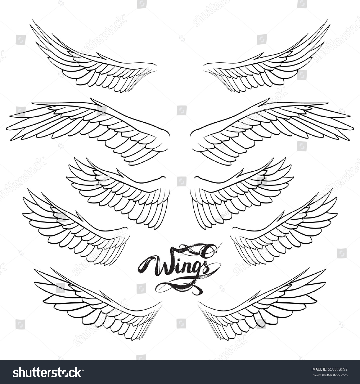 Angel Wings Vector Lettering Drawing Stock Vector (Royalty Free) 558878992