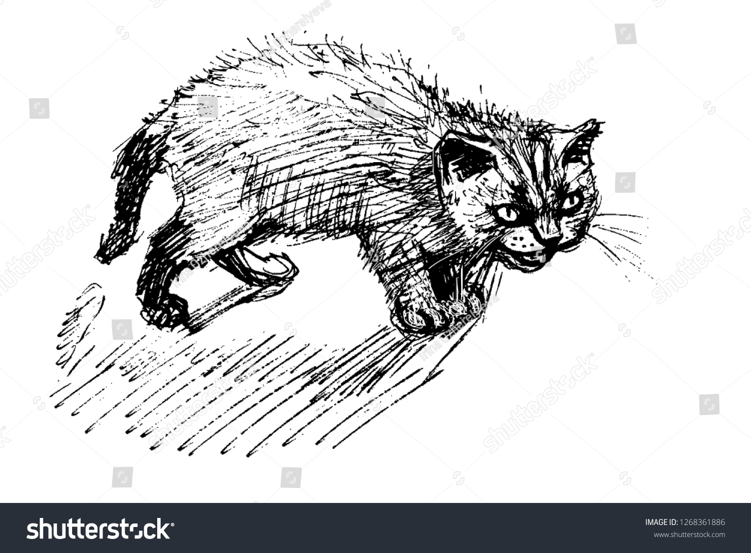 Angry Cat Line Drawing Stock Vector (Royalty Free) 1268361886