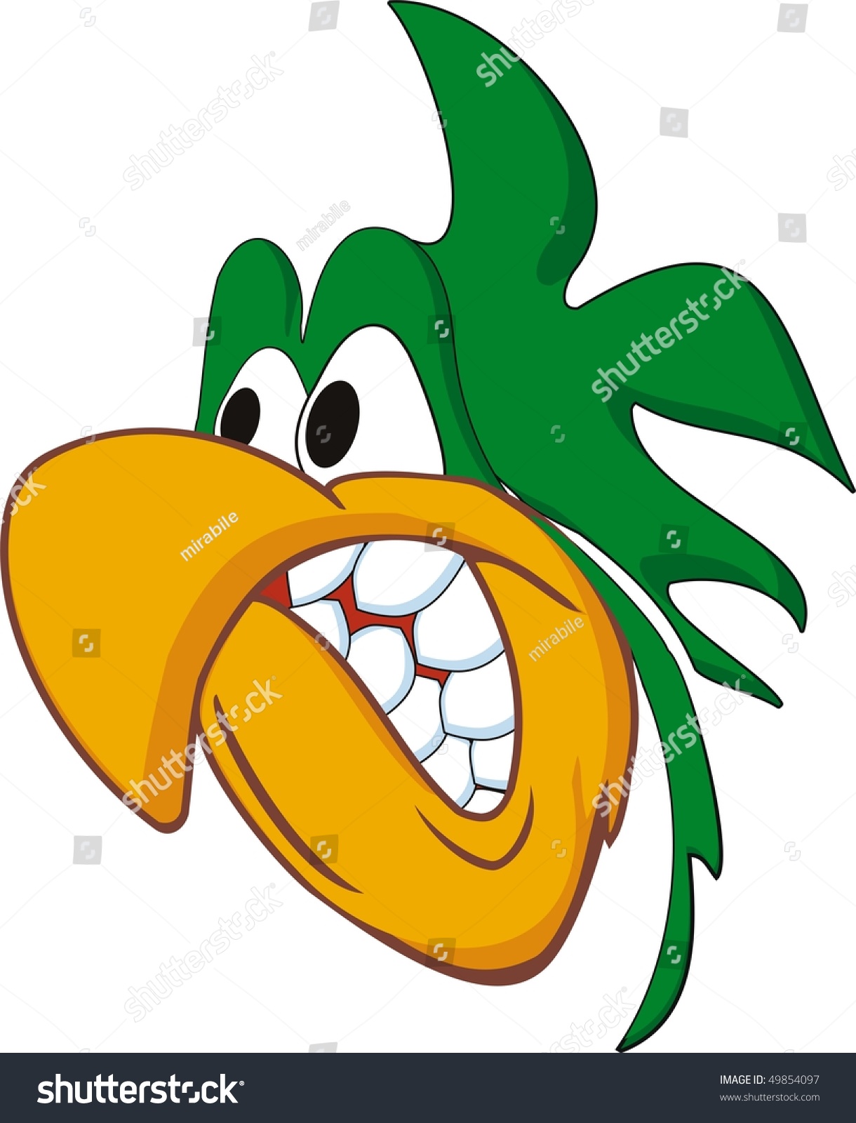 Angry Parrot Cartoon Isolated On Withe Stock Vector Illustration ...
