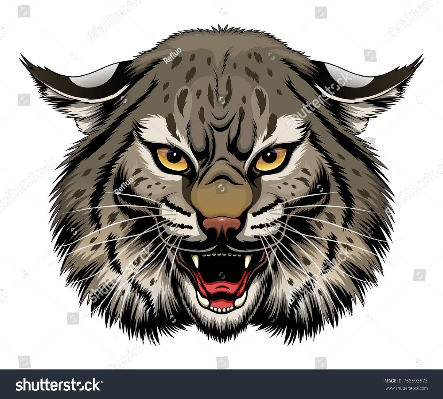 Angry Stylized Bobcat Head Vector Illustration: vetor stock (livre de ...