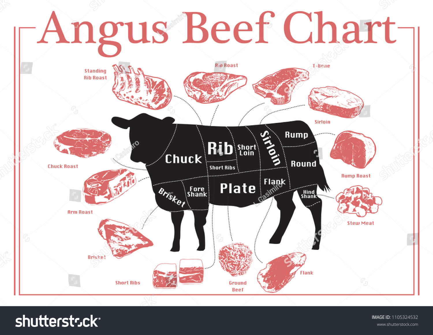Angus Beef Chart: เวกเตอร์สต็อก (ปลอดค่าลิขสิทธิ์) 1105324532