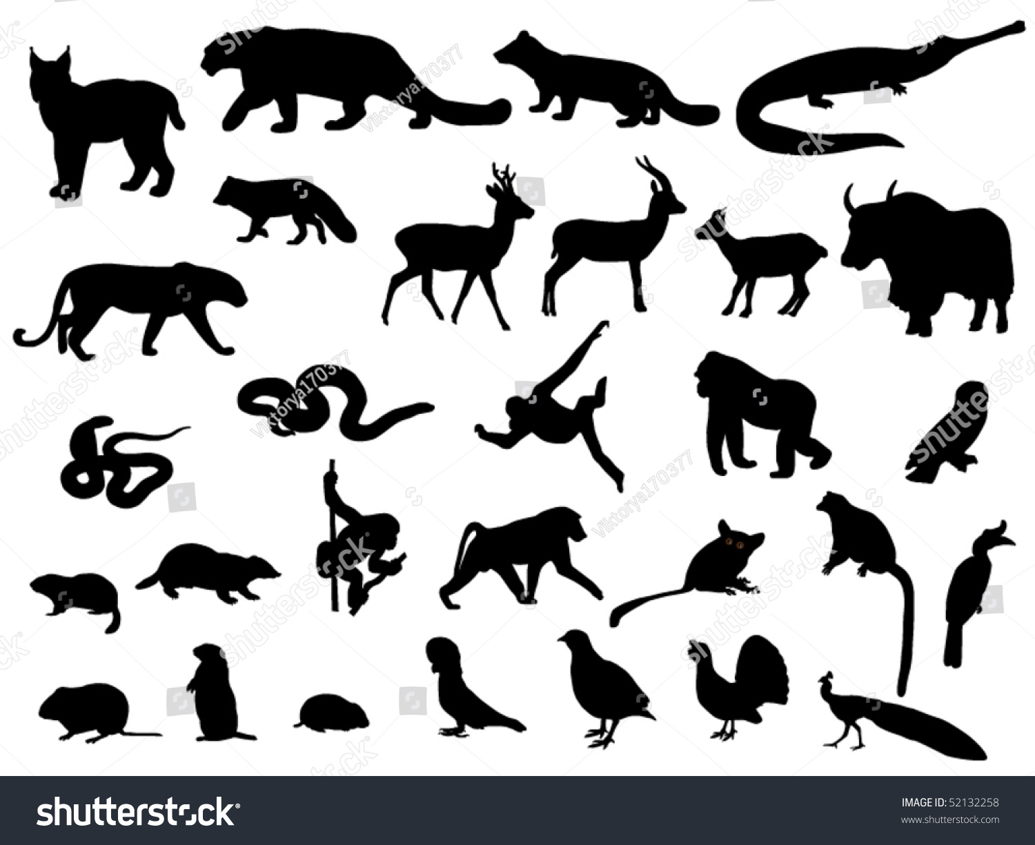 Animal Stock Vector (Royalty Free) 52132258