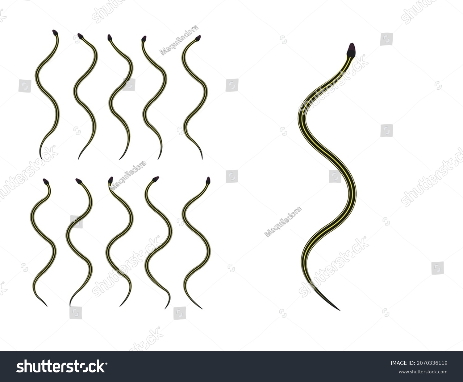 Animal Animation Sequence Garter Snake Cartoon Stock Vector (Royalty ...