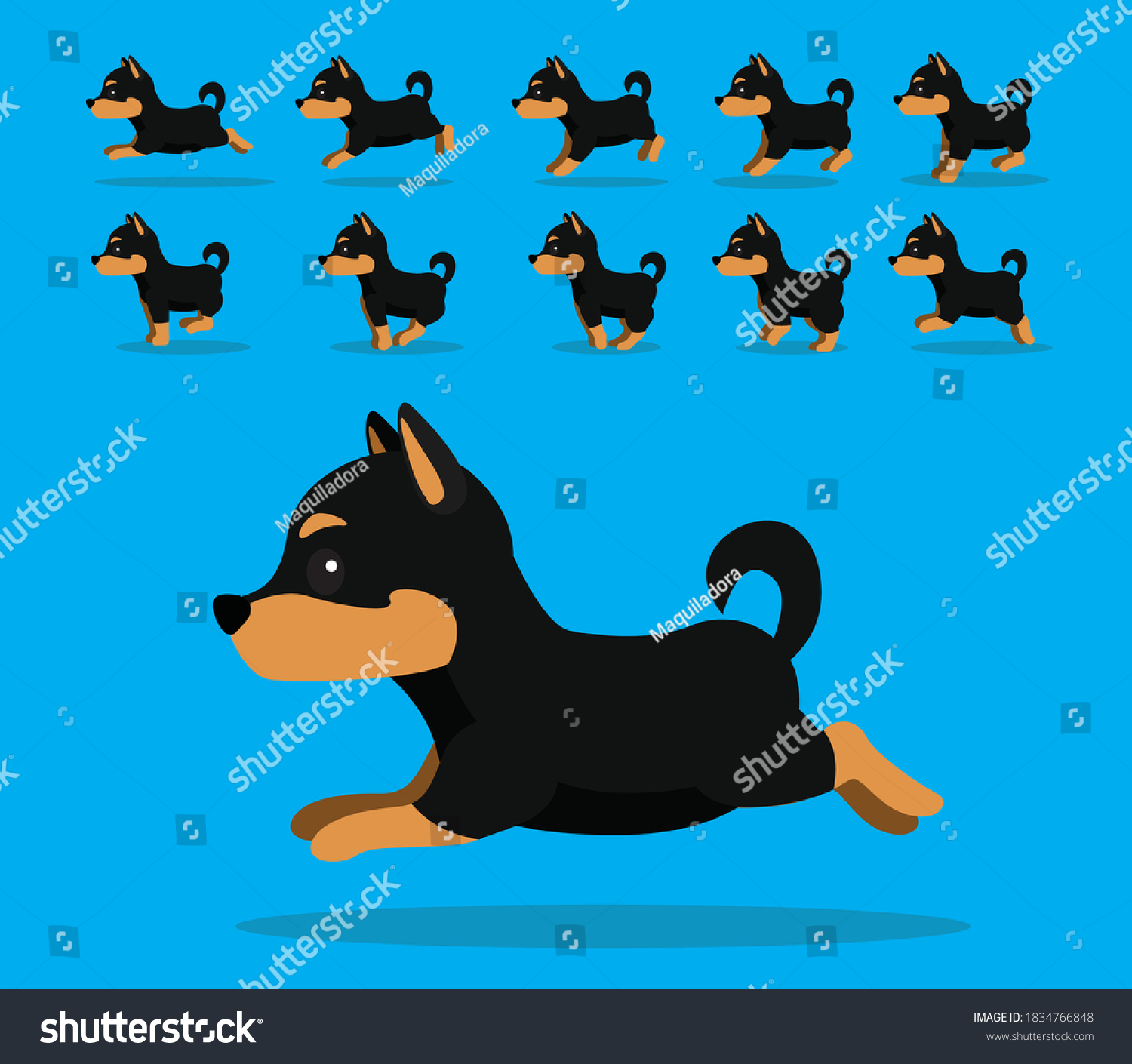 Animal Animation Sequence Kelpie Cartoon Vector Stock Vector (Royalty ...